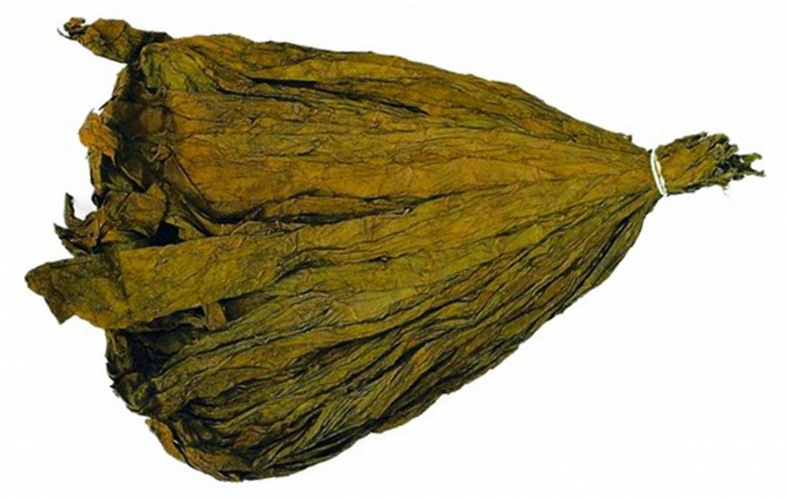 Curado al sol - Tabacopedia