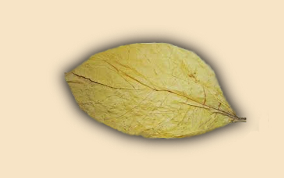 Virginia - Tabacopedia