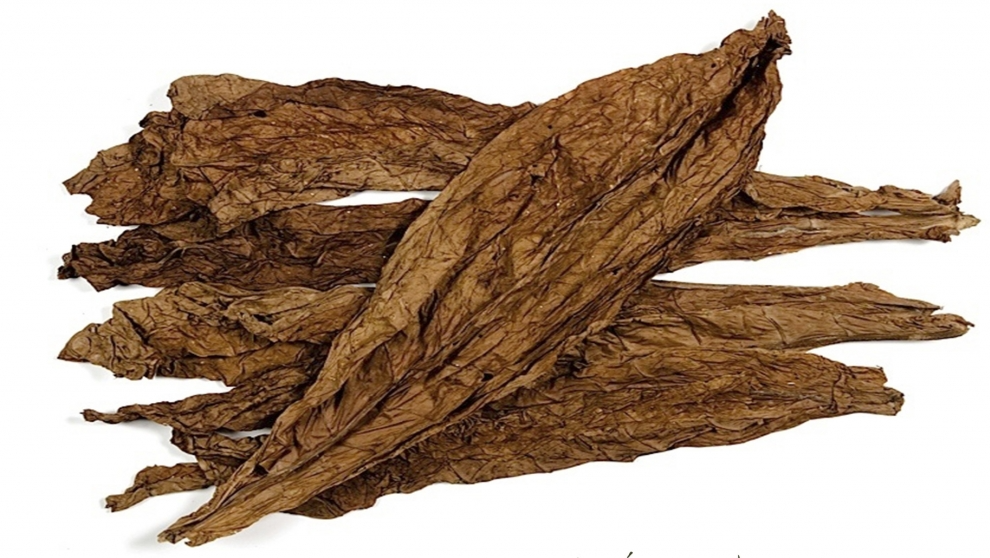 Burley - Tabacopedia